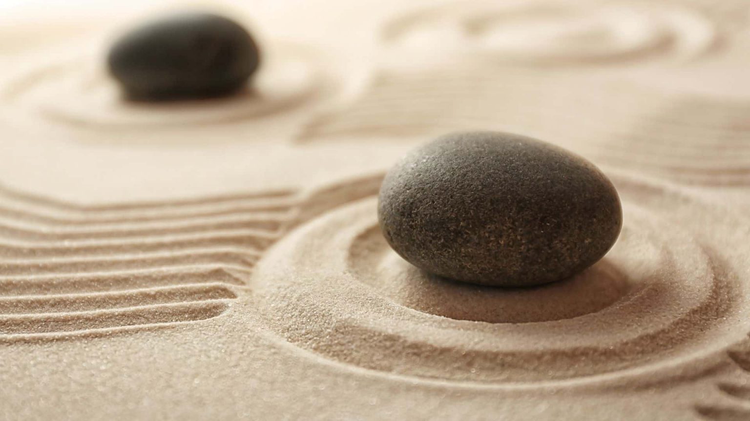 Improve Your Mental Health with a Zen Garden: Benefits Guide