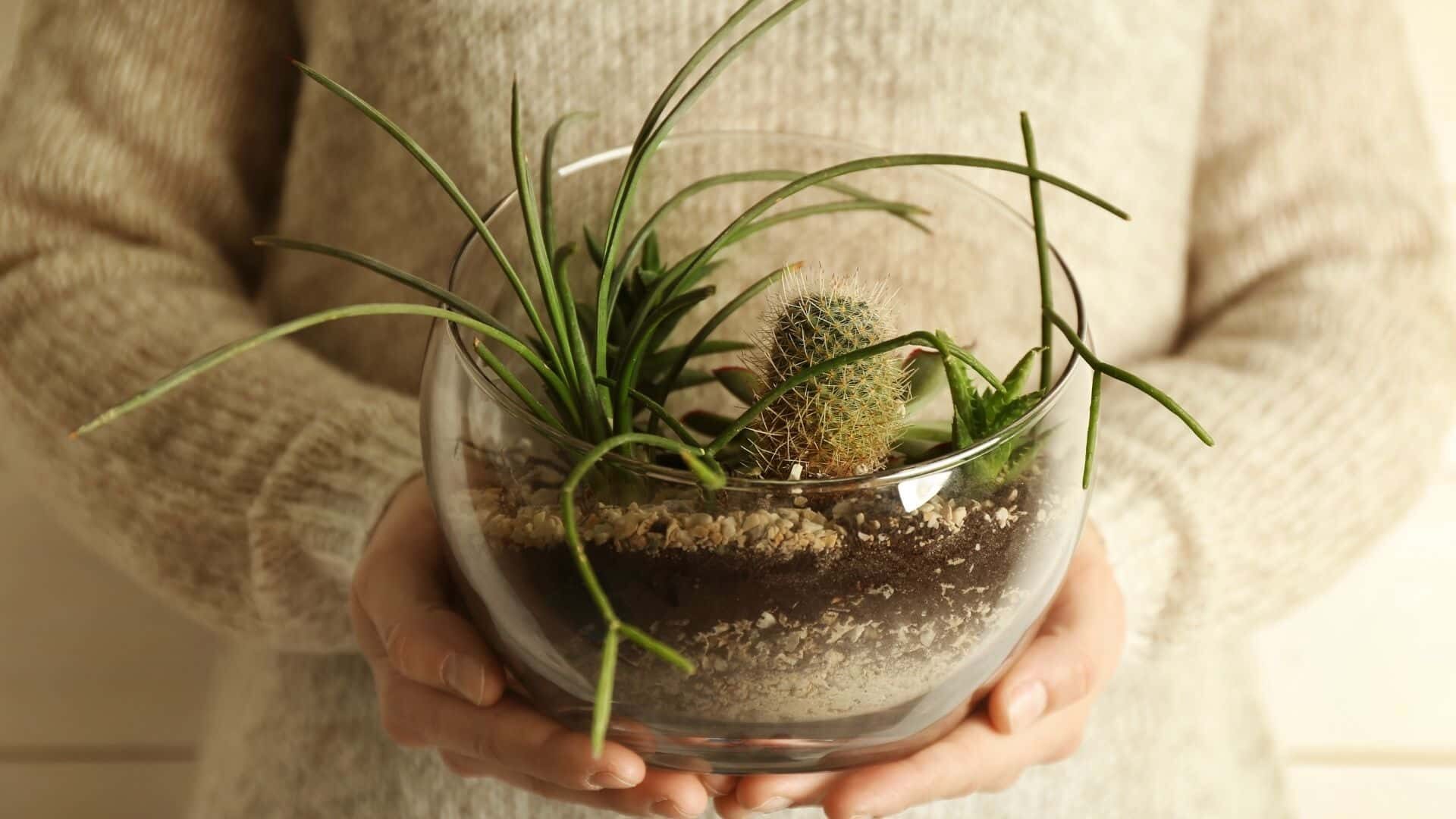 How to Grow Plants in Glass Containers: 6 Steps Easy Guide