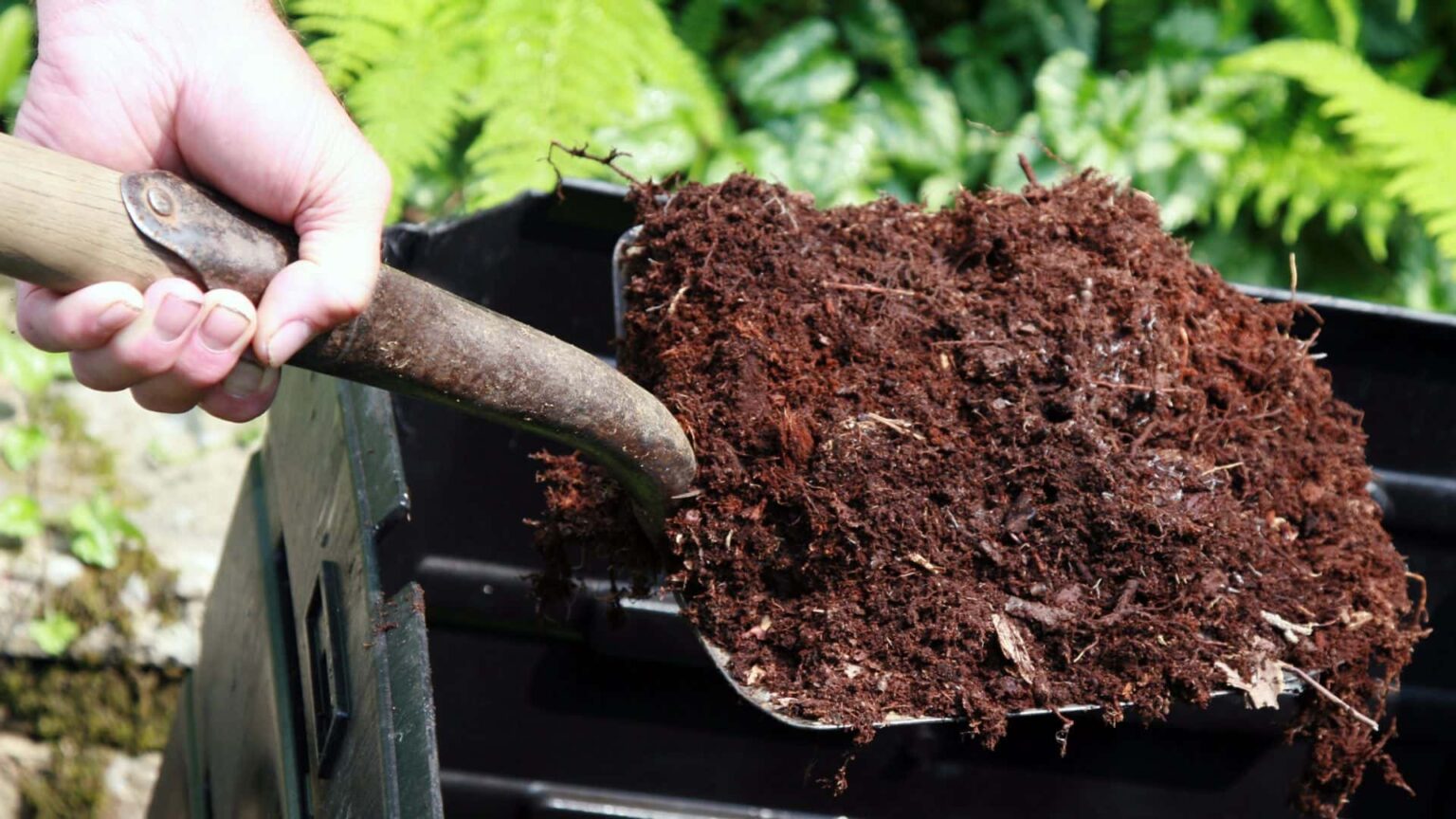 Can I Use Oak Leaves as Mulch: 15 Benefits with How to Use