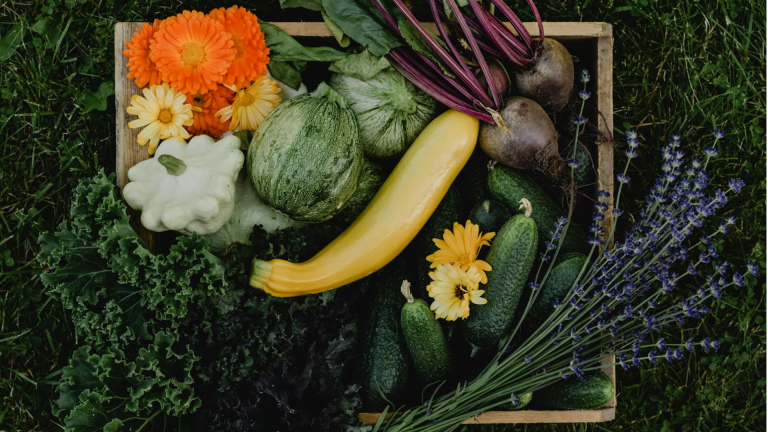 Square Foot Gardening: 10 Must-Know Pros & Cons for Success