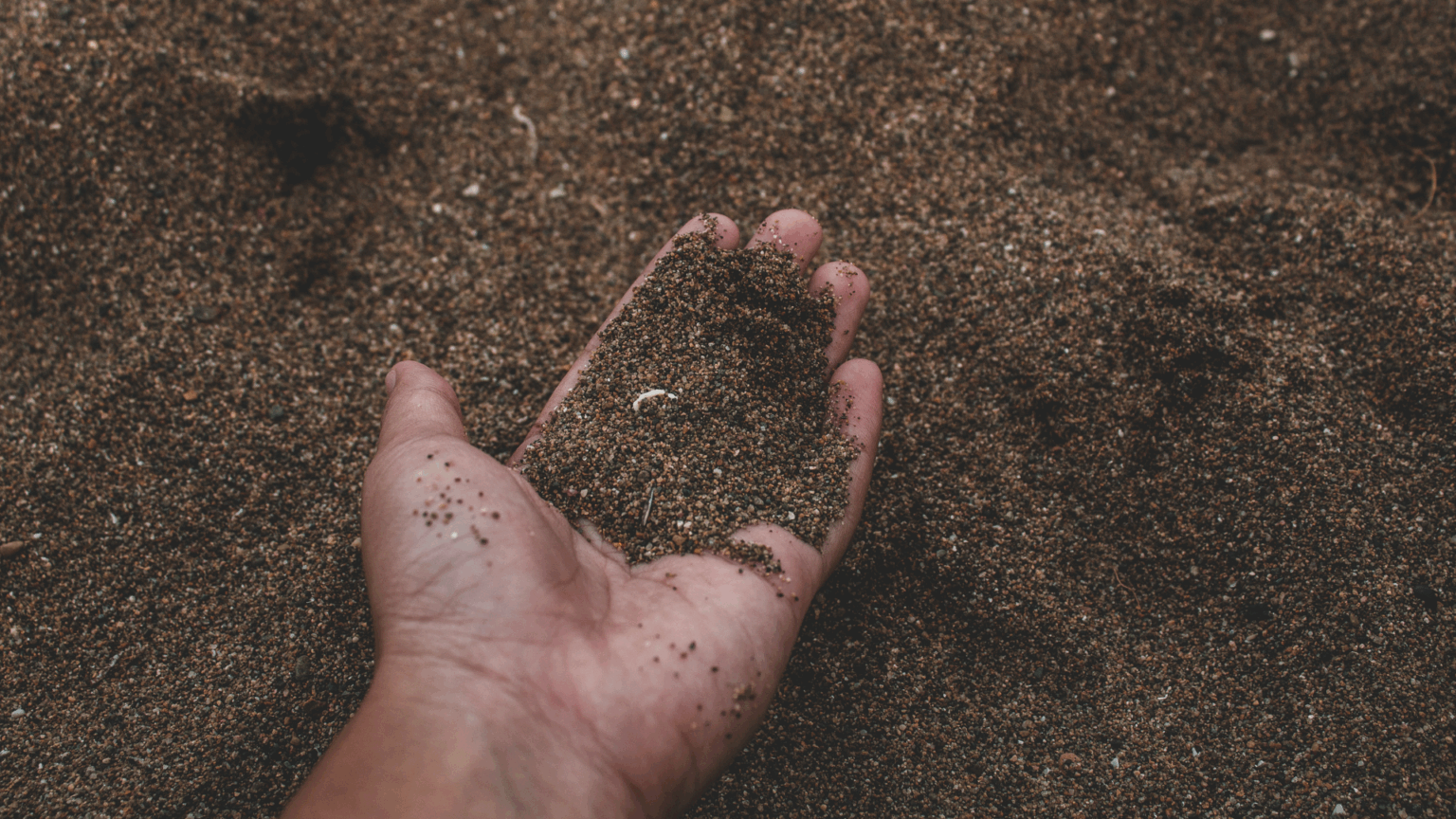 How to Amend Sandy Soil for a Vegetable Garden: Proven Tips