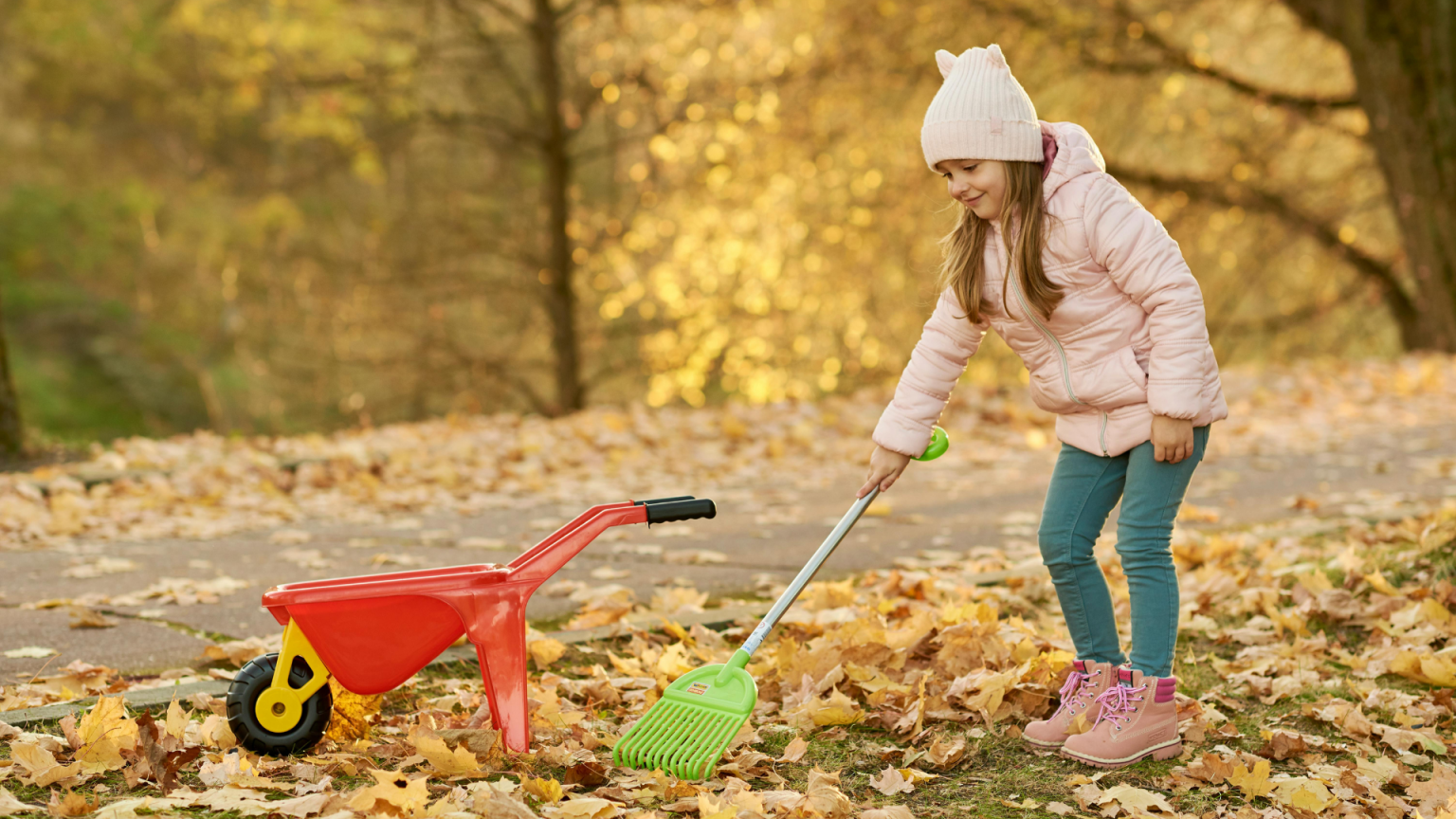 When Can I Clean Up Leaves in Spring? | Best Time & Benefits